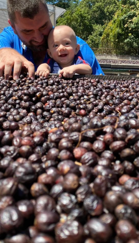 COSTA RICA FILTER – 20grams Coffee Roastery