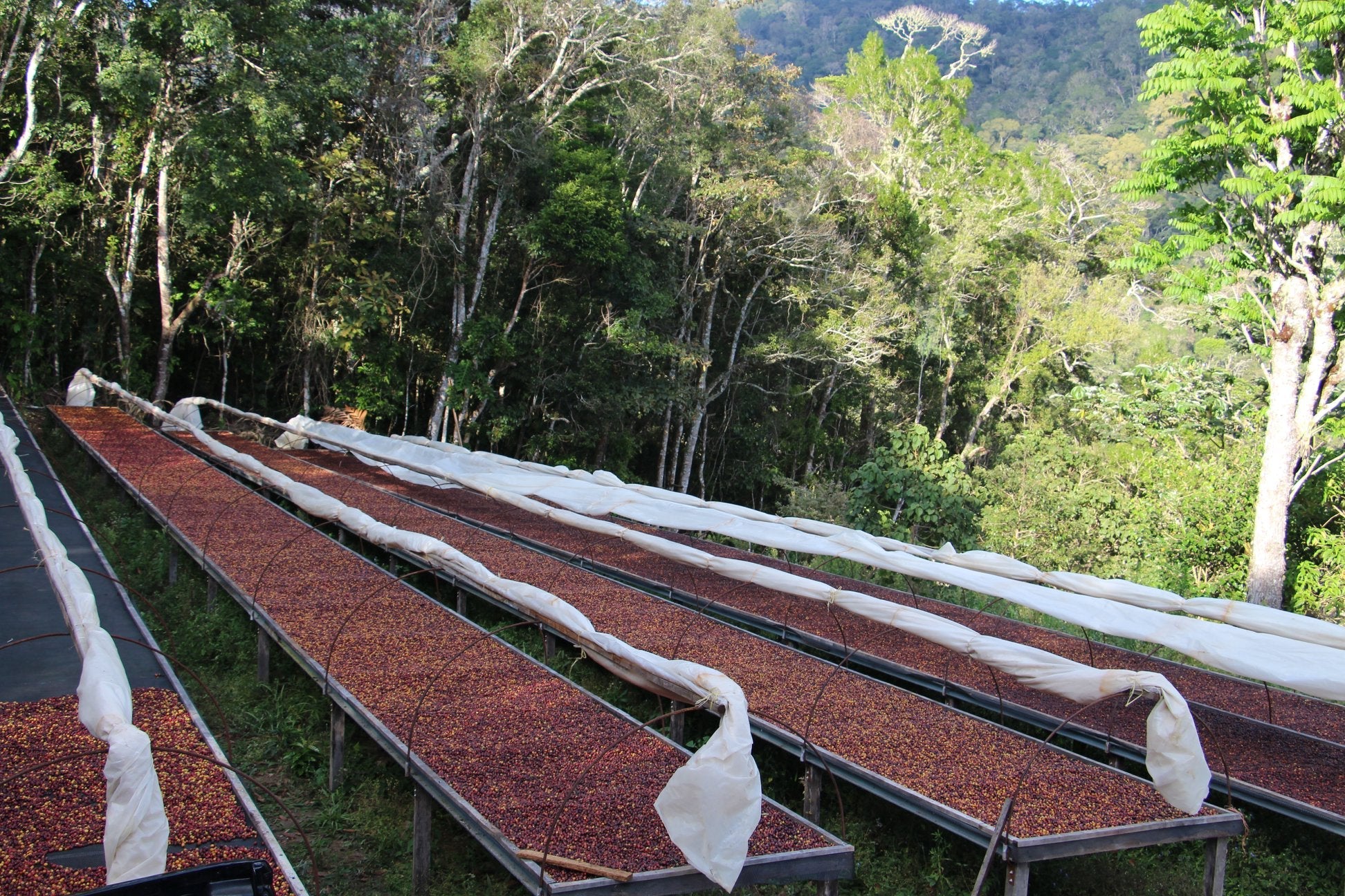 PANAMA ESPRESSO – 20grams Coffee Roastery