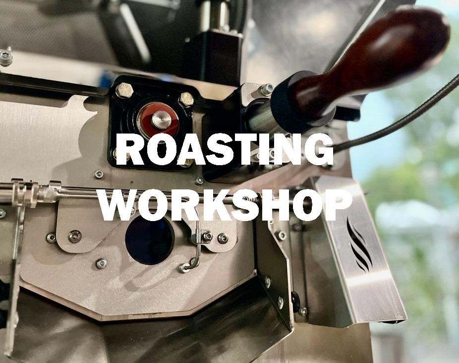 Roasting Masterclass – 20grams Coffee Roastery